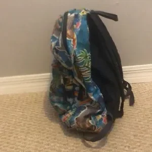 Jansport | Bags | Ocean Jansport Backpack | Poshmark